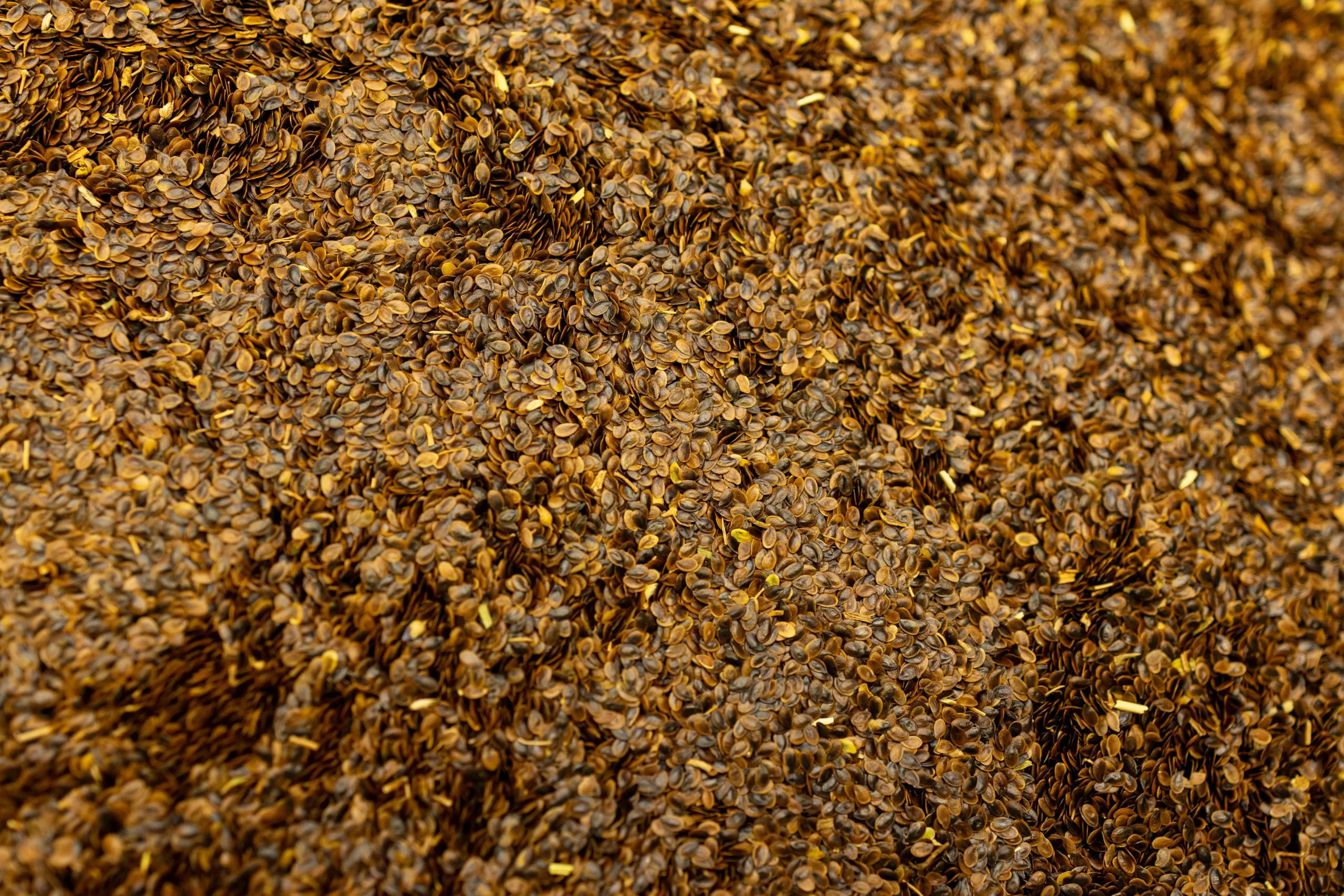 Your Guide to the Conservation Reserve Program (CRP) | Kaup