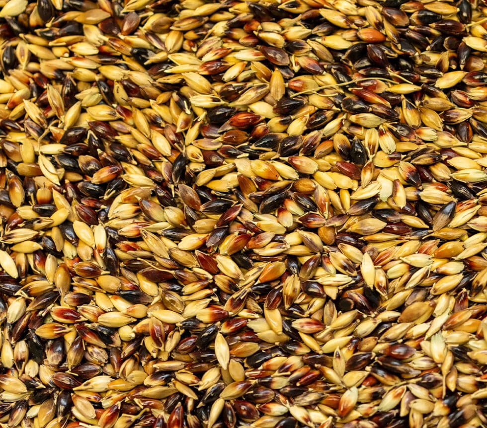 Annual Forages - Kaup Forage & Turf - Livestock and Soil Needs