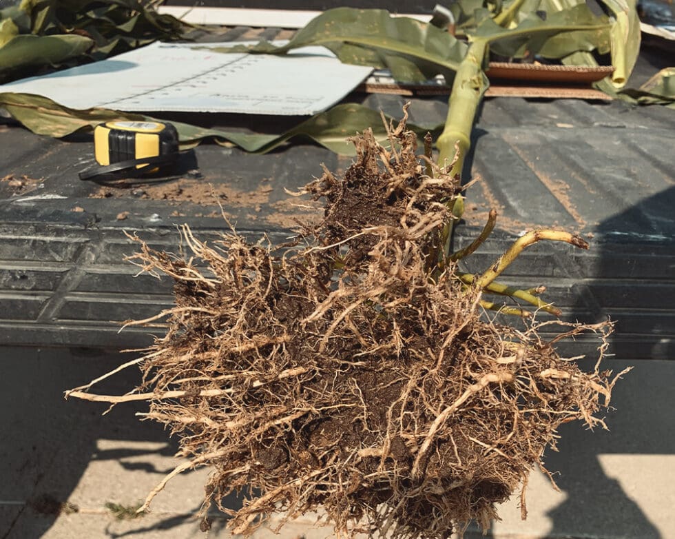 Innovation Platform - Kaup Seed & Fertilizer - Agriculture Tech